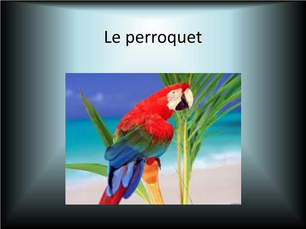 PPT - Les devoirs: Make flashcards with new vocabulary. PowerPoint ...