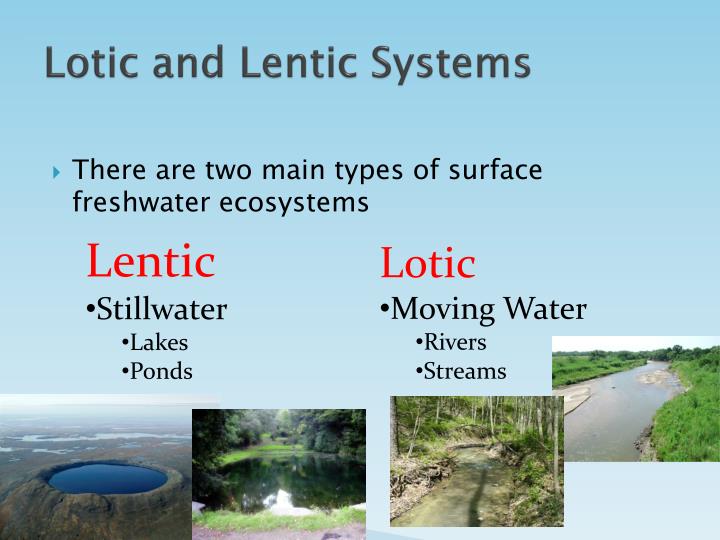 PPT - Where is Earth's water located ? PowerPoint Presentation - ID:2048664