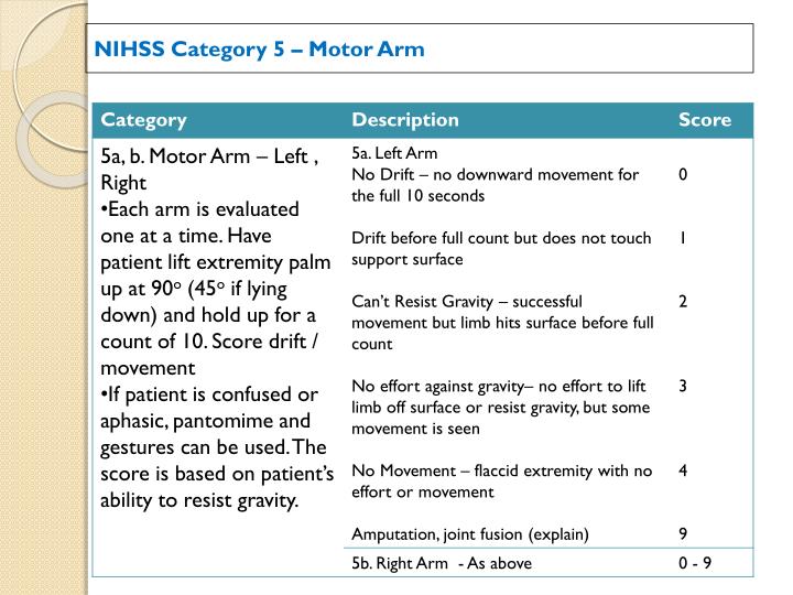 PPT - NIH Stroke Scale Assessment of the Acute Stroke Patient PowerPoint Presentation - ID:2048728