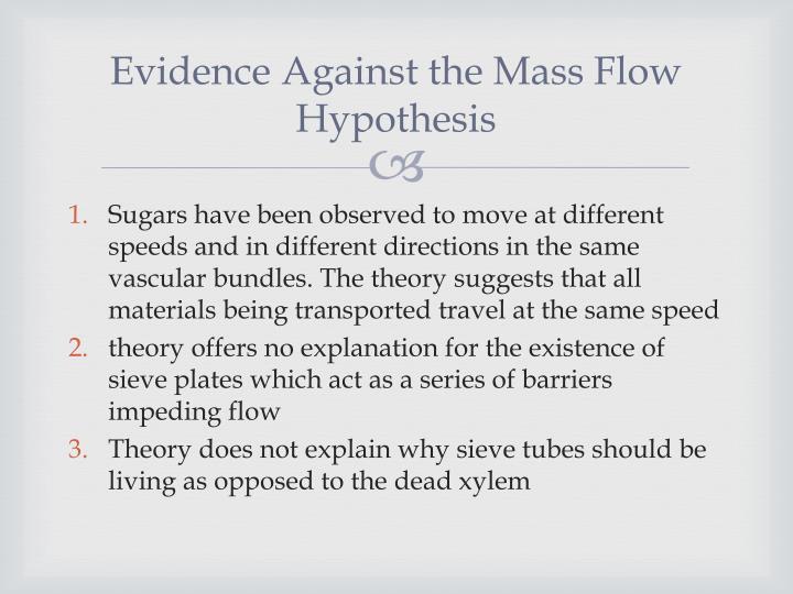 PPT - Phloem Tubes PowerPoint Presentation - ID:2048925