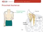 PPT - Proximal Humeral IO PowerPoint Presentation - ID:2049049