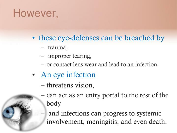 PPT - Eye infection PowerPoint Presentation - ID:2049121