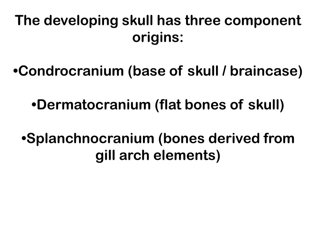PPT - Biology 323 Human Anatomy for Biology Majors Lecture 16 Dr ...