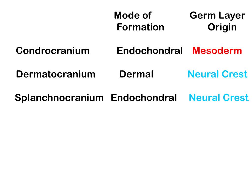 PPT - Biology 323 Human Anatomy for Biology Majors Lecture 16 Dr ...