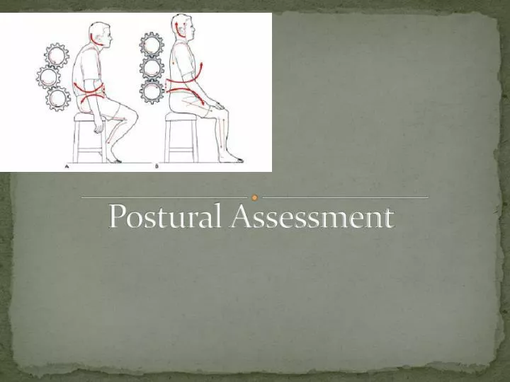 PPT - Postural Assessment PowerPoint Presentation, free download - ID ...