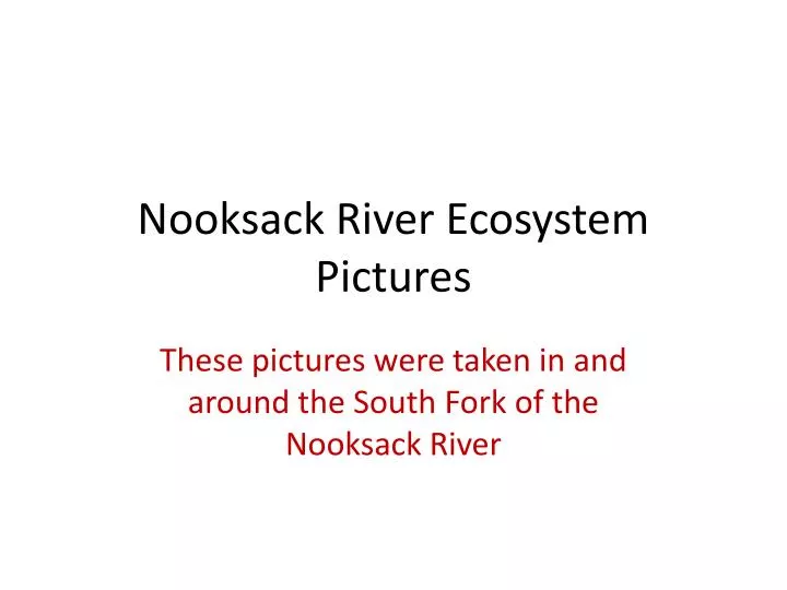 PPT - Nooksack River Ecosystem Pictures PowerPoint Presentation, free download - ID:2050857