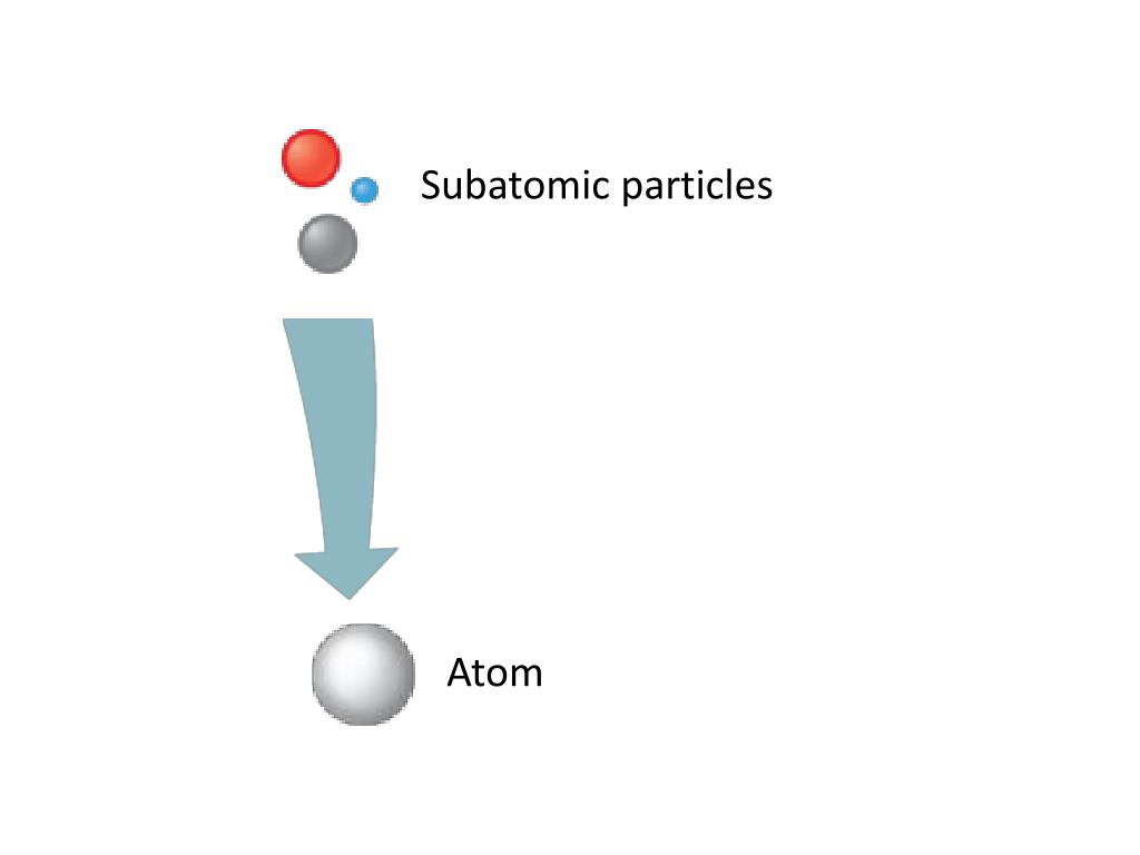 PPT - Organization of the Human Body PowerPoint Presentation, free ...