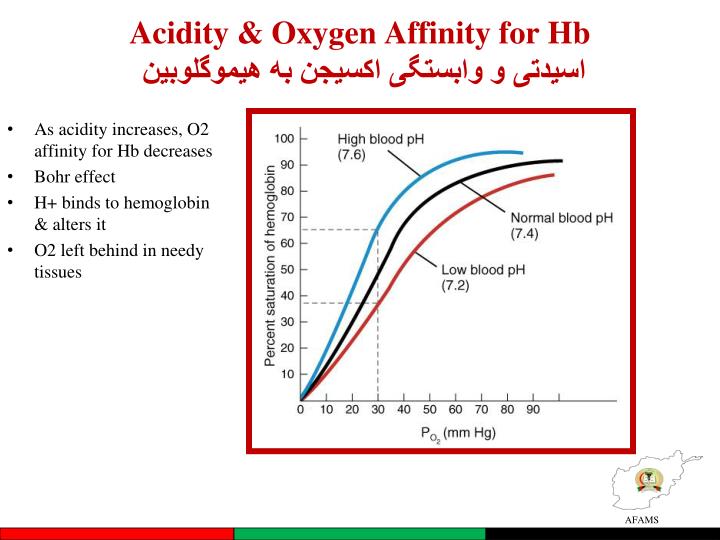 PPT - The Respiratory System سیستم تنفسی PowerPoint Presentation - ID ...