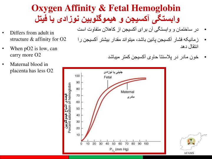 PPT - The Respiratory System سیستم تنفسی PowerPoint Presentation - ID ...