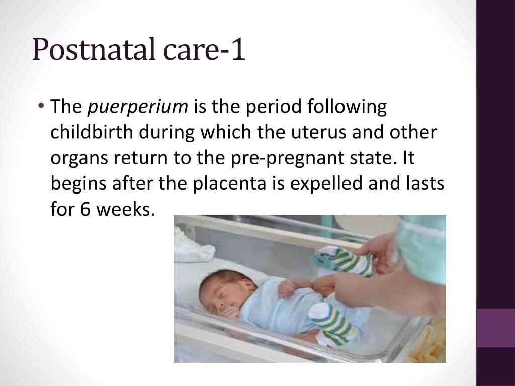 PPT - Antenatal & Postnatal Care and How It Is Delivered PowerPoint ...