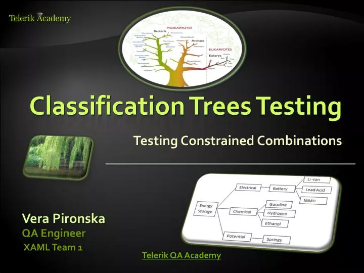 PPT - Classification Trees Testing PowerPoint Presentation, free ...