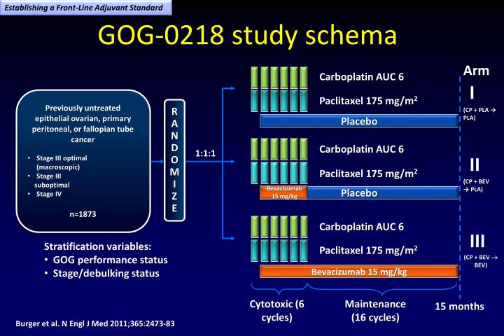 PPT - Ovarian Cancer: Standards of Care and New Opportunities ...