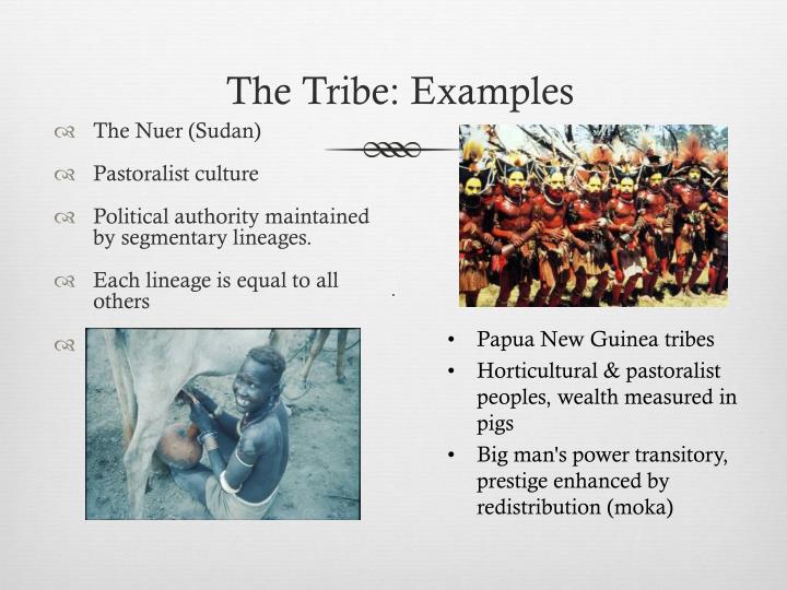 PPT - Politics & Power PowerPoint Presentation - ID:2053380