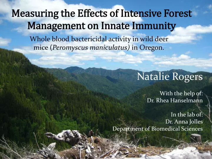 PPT - Measuring the Effects of Intensive Forest Management on Innate ...