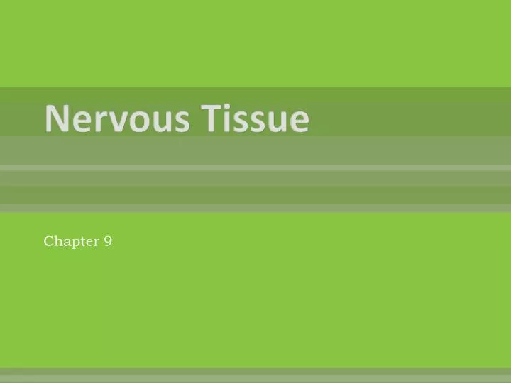 PPT - Nervous Tissue PowerPoint Presentation, free download - ID:2053729