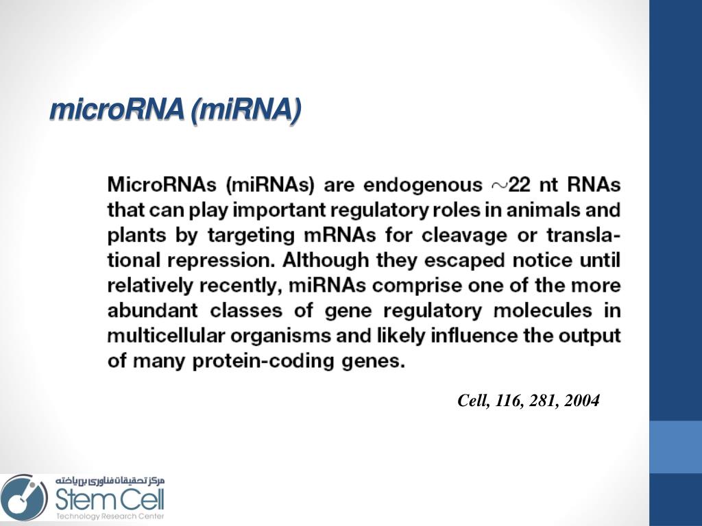 PPT - MicroRNA’s applications in medicine PowerPoint Presentation, free ...