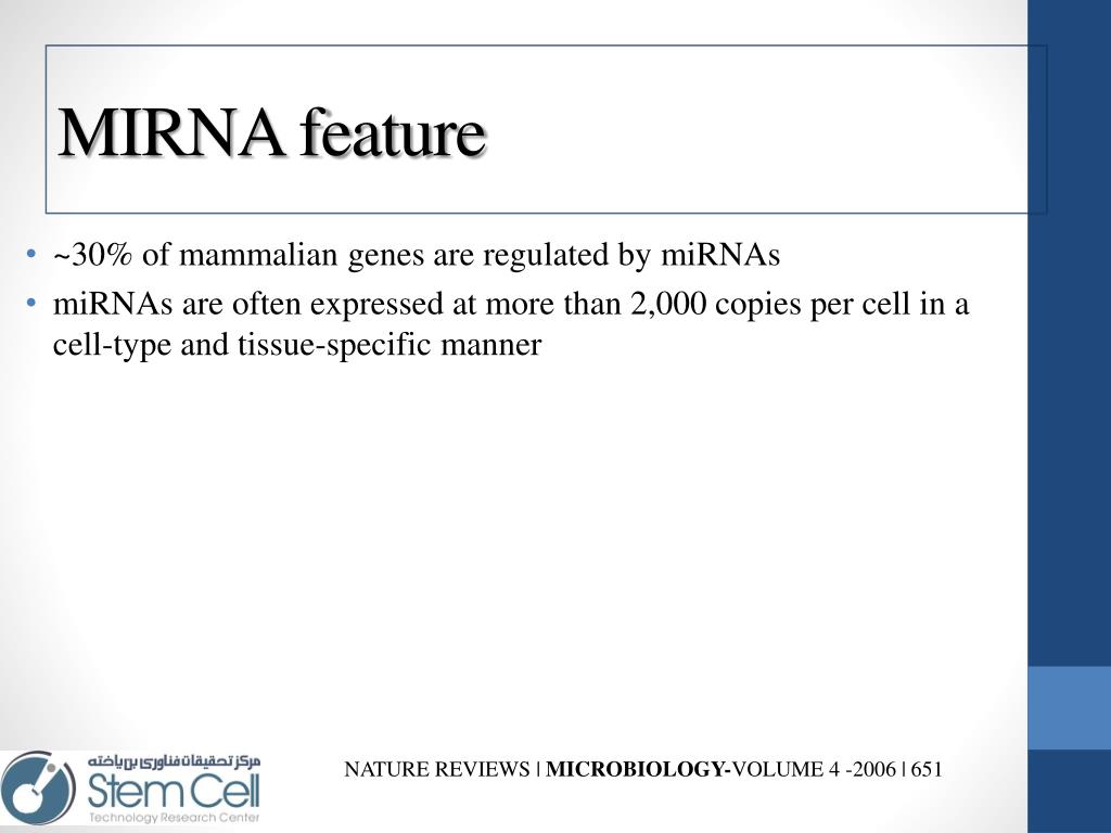 PPT - MicroRNA’s applications in medicine PowerPoint Presentation, free ...