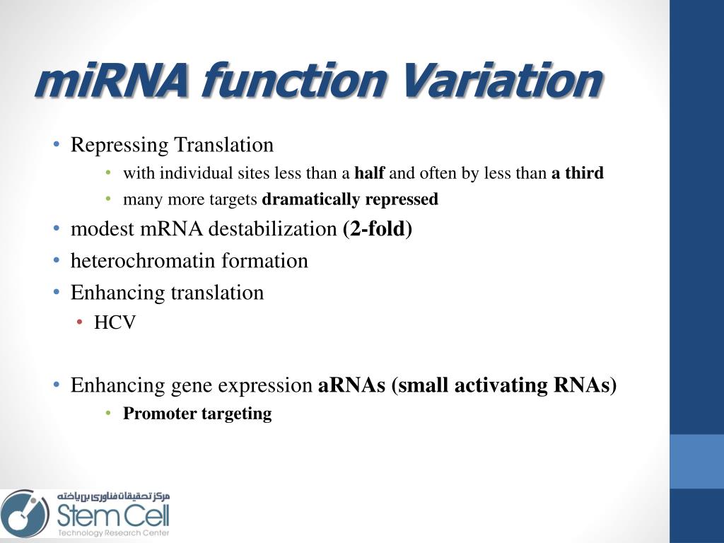 PPT - MicroRNA’s applications in medicine PowerPoint Presentation, free ...