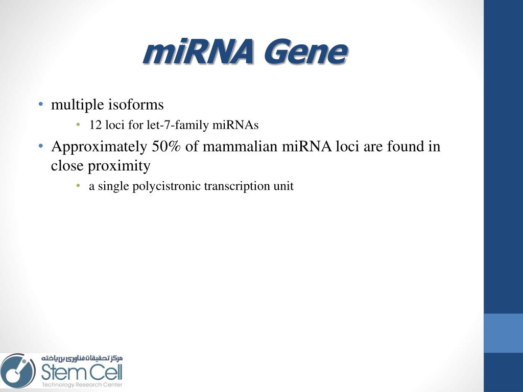 PPT - MicroRNA’s applications in medicine PowerPoint Presentation, free ...