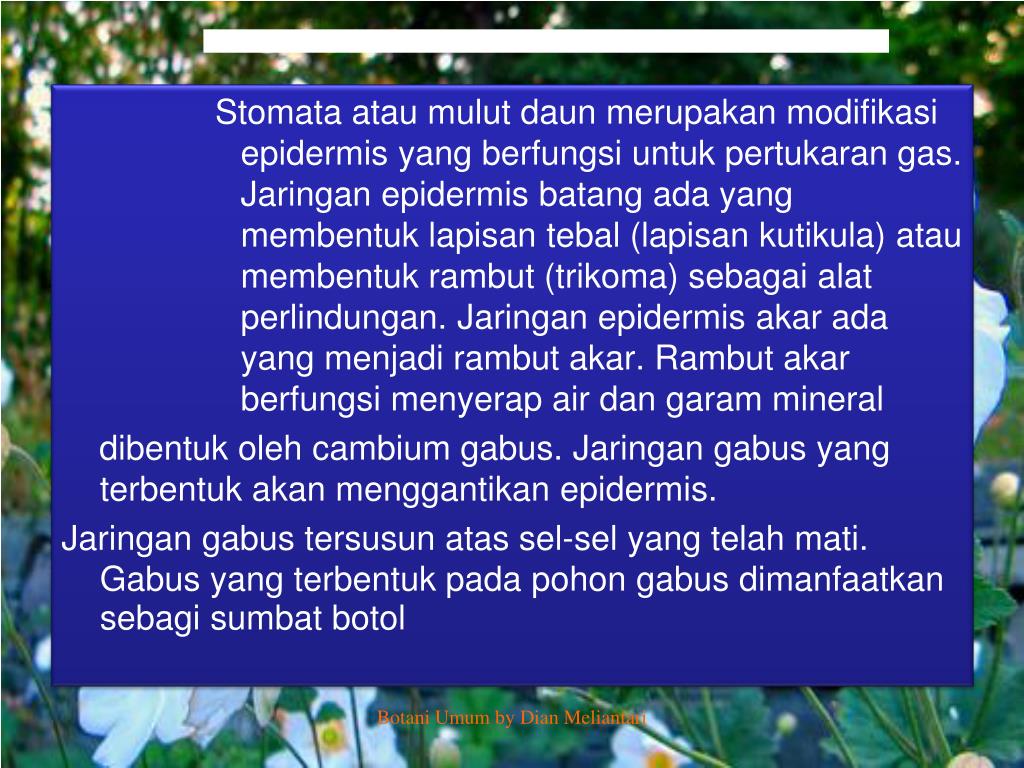PPT - BOTANI UMUM Dosen : Ir. Dian Meliantari,MM Kuliah :9 PowerPoint ...