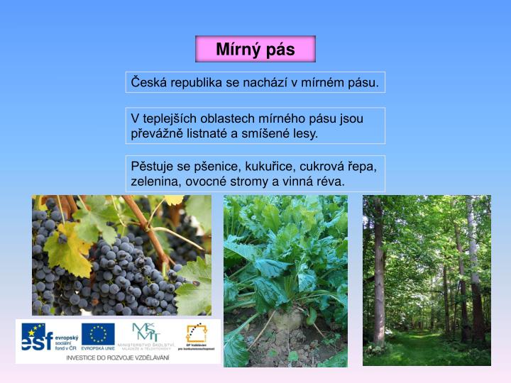 PPT - Podnebné pásy PowerPoint Presentation - ID:2053887