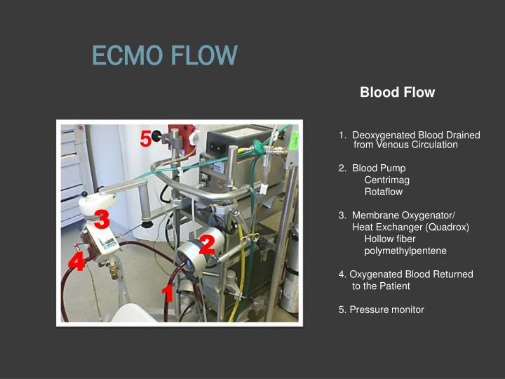PPT - ECMO and the Adult Patient: Nursing considerations PowerPoint ...