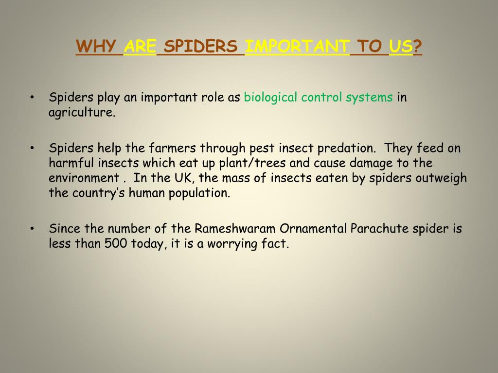PPT - Endangered Species By Kartikeya Thiyam Sundaram Shaurish Das ...