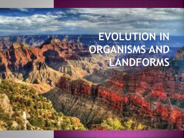 PPT - Evolution in Organisms and Landforms PowerPoint Presentation ...