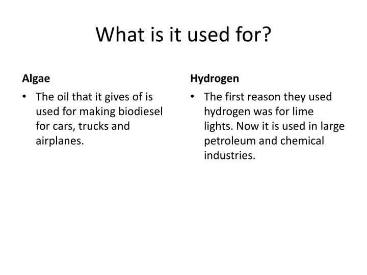 PPT - Algae/Hydrogen PowerPoint Presentation - ID:2054840