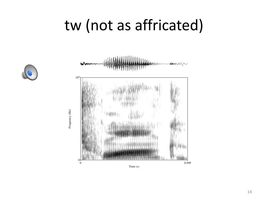 PPT - Eye-tracking reveals the effects of perceptual learning on ...
