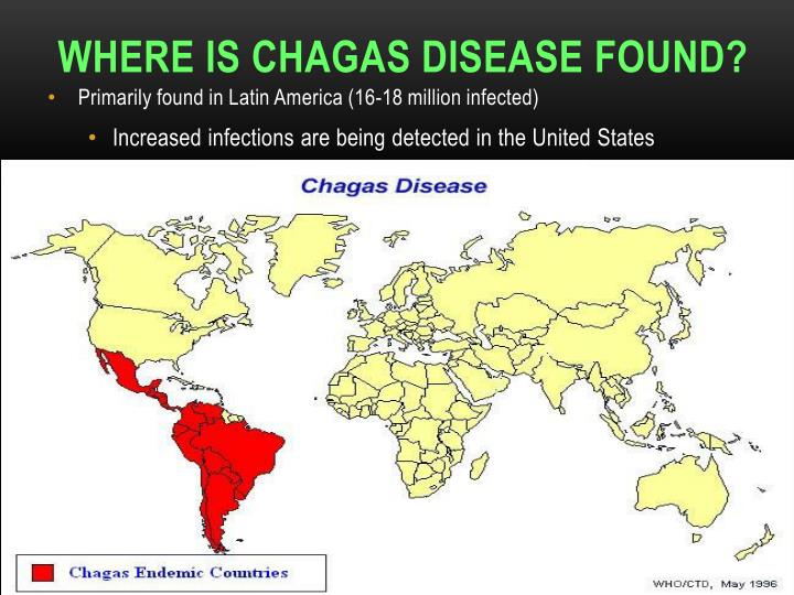 PPT - Trypanosoma cruzi Chagas’ Disease PowerPoint Presentation - ID ...
