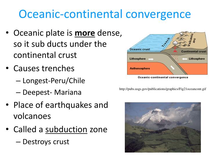PPT - Major Plates of the World PowerPoint Presentation - ID:2055286