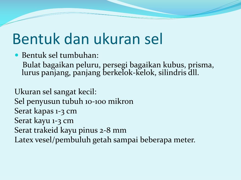 PPT - BAHAN KULIAH ANATOMI TUMBUHAN PRODI BIOLOGI FKIP UNIB PowerPoint ...