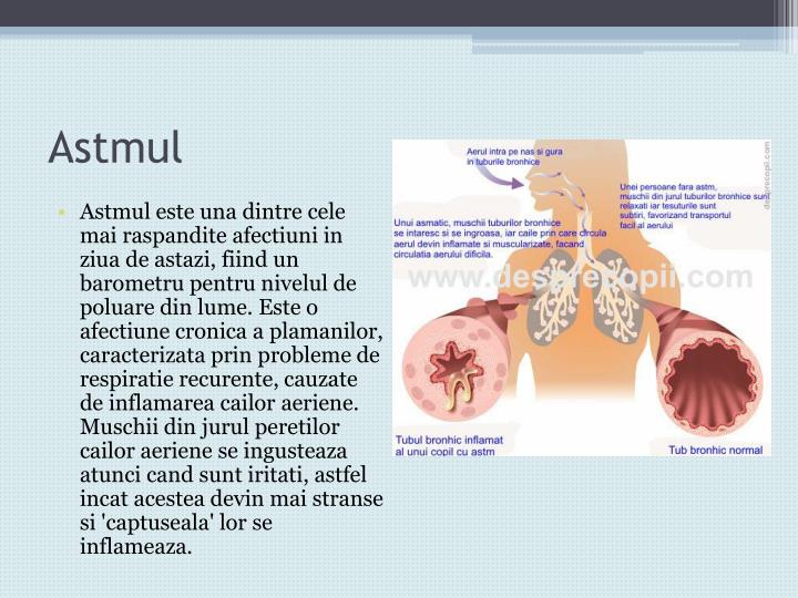 PPT - I.Sistemul respirator II.Bolile Sistemului Respirator PowerPoint ...