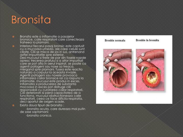 PPT - I.Sistemul respirator II.Bolile Sistemului Respirator PowerPoint ...