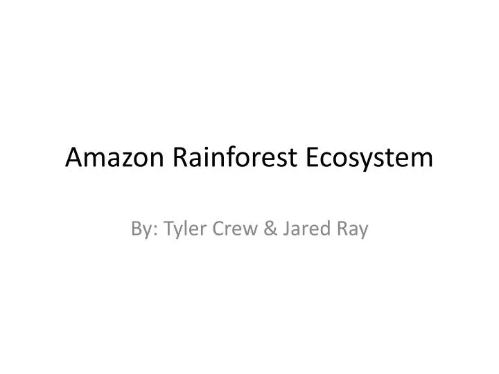 PPT - Amazon Rainforest Ecosystem PowerPoint Presentation, free download - ID:2056049
