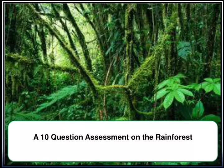 PPT - A 10 Question Assessment on the Rainforest PowerPoint ...