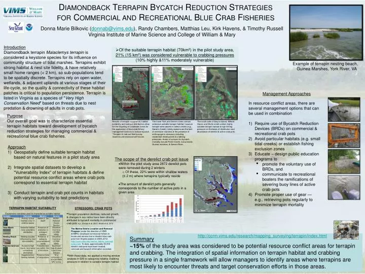 PPT - Example of terrapin nesting beach, Guinea Marshes, York River, VA ...