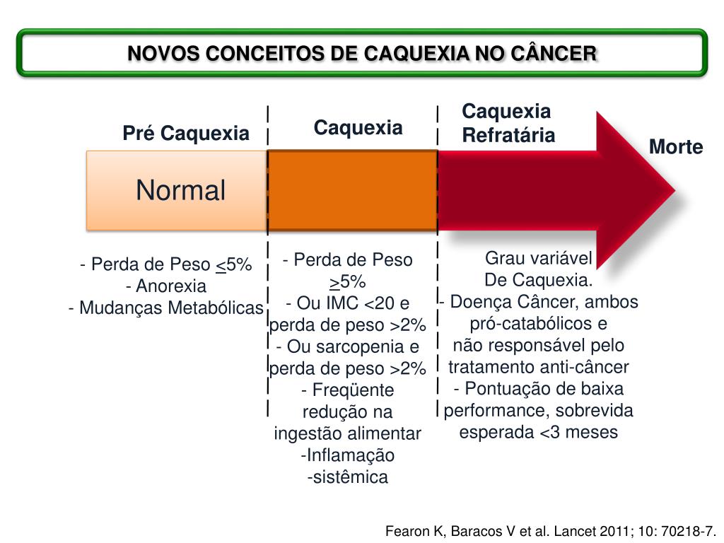 PPT - O IMPACTO DAS DOENÇAS NO ESTADO NUTRICIONAL PowerPoint ...