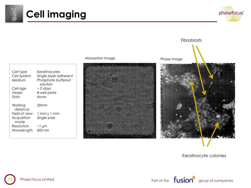 PPT - Lens Free Live Cell Imaging Ian Pykett, Vassilios Albanis ...