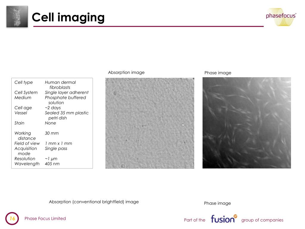 PPT - Lens Free Live Cell Imaging Ian Pykett, Vassilios Albanis ...