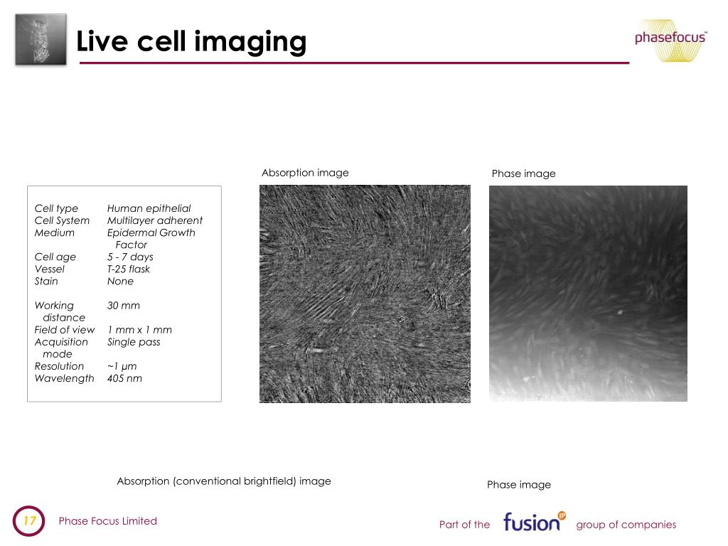 PPT - Lens Free Live Cell Imaging Ian Pykett, Vassilios Albanis ...