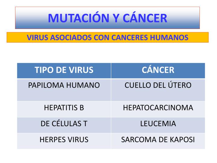 PPT - Mutaciones PowerPoint Presentation - ID:2058393