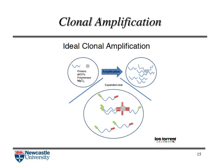 PPT - Ion Torrent and Minion PowerPoint Presentation - ID:2058811
