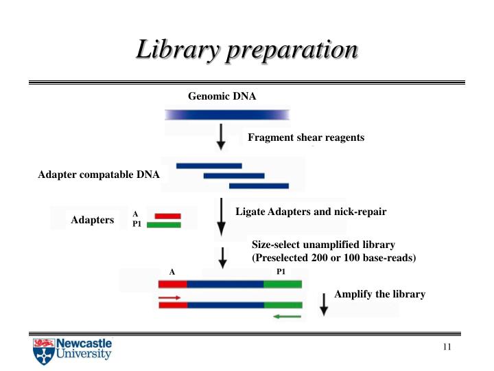 PPT - Ion Torrent and Minion PowerPoint Presentation - ID:2058811