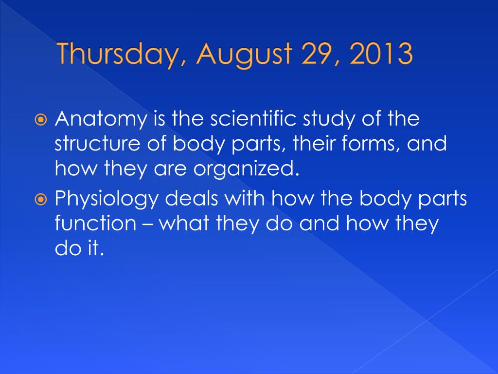 PPT - Anatomy and Physiology Bell Ringers PowerPoint Presentation, free ...