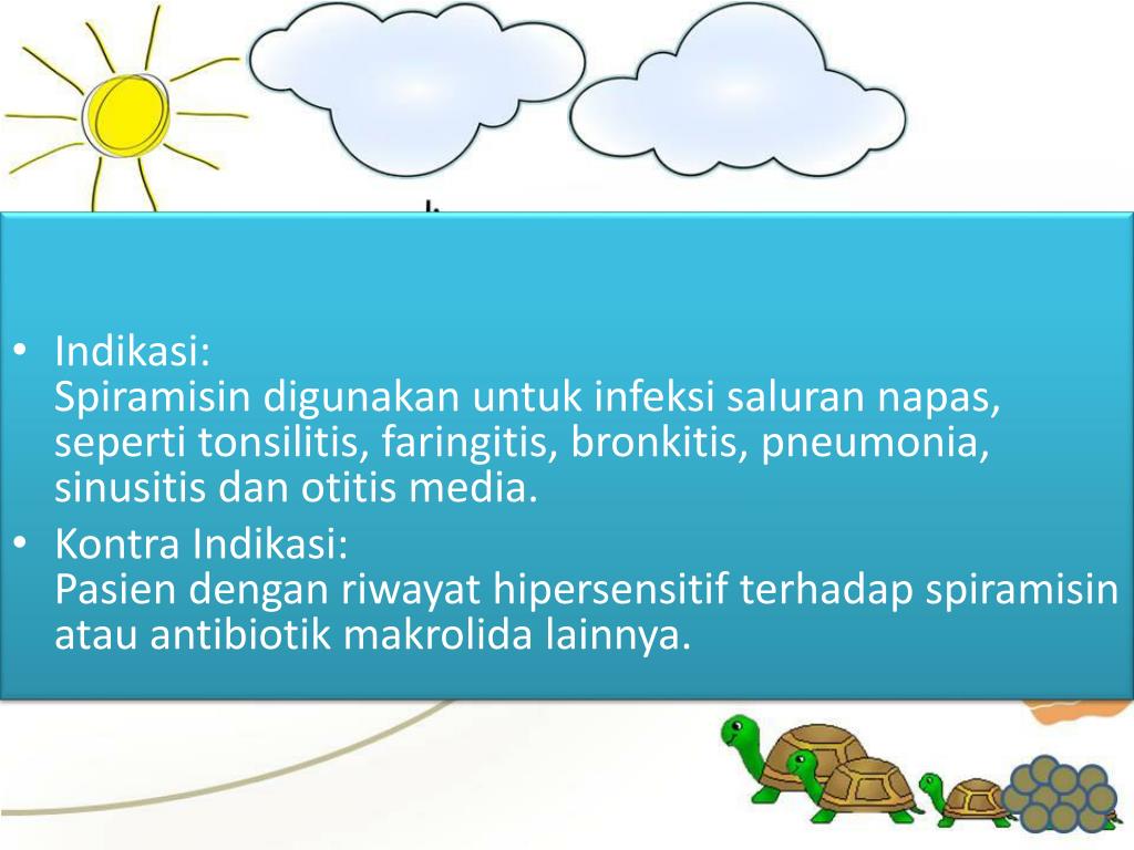 PPT - JENIS OBAT ANTIBIOTIKA GOLONGAN MAKROLID Anggota kelompok: Nurul ...