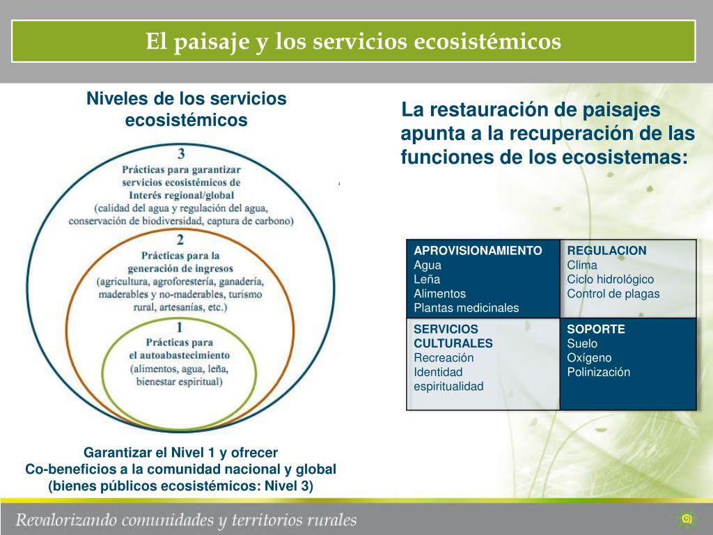 PPT - Restauración del paisaje, gobernanza y cambio climático ...