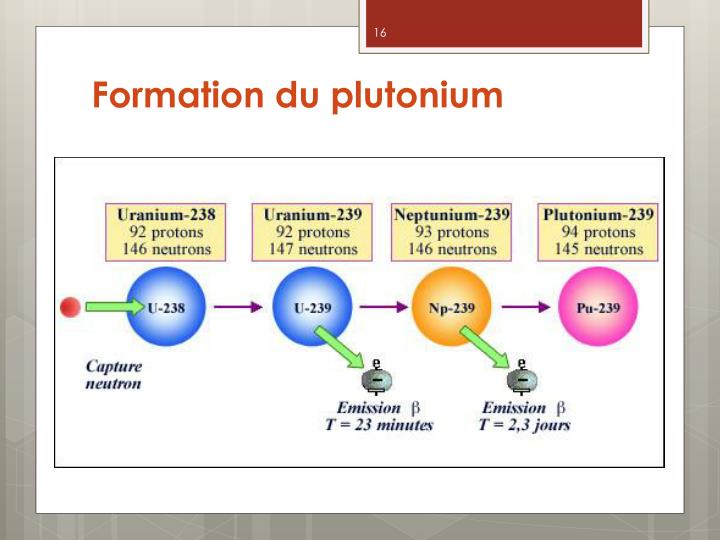 PPT - Transformations nucléaires PowerPoint Presentation - ID:2059280