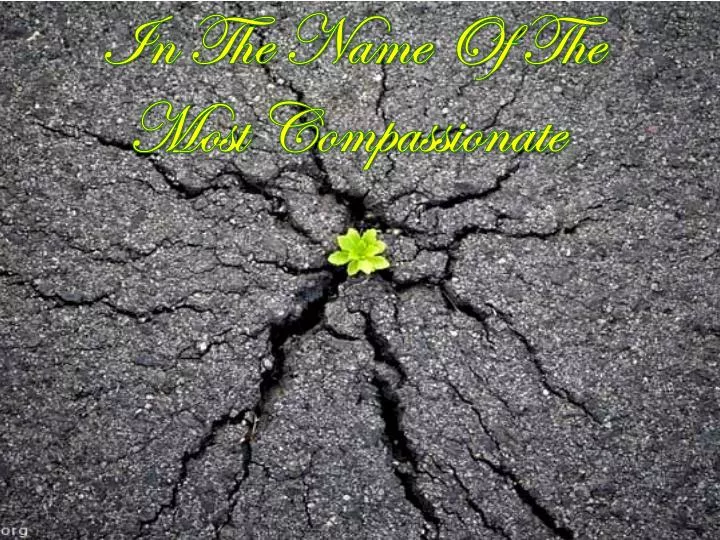 PPT - In The Name Of The Most Compassionate PowerPoint Presentation ...